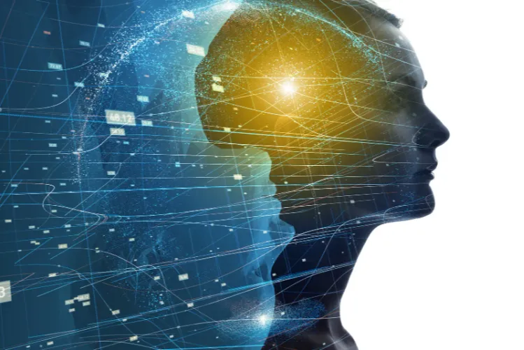 Learning Agility – Depth vs. Breadth | Chapman & Co. Leadership Institute